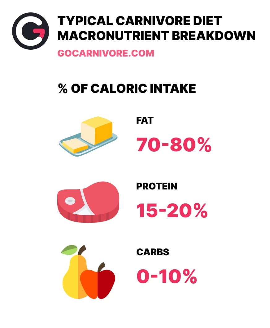 Go Carnivore Recipe | Carnivore Food List