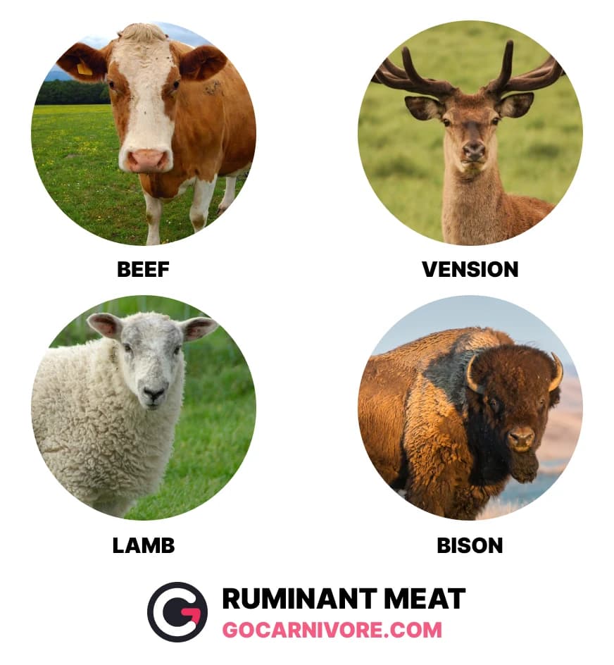 Go Carnivore Recipe | Carnivore Food List